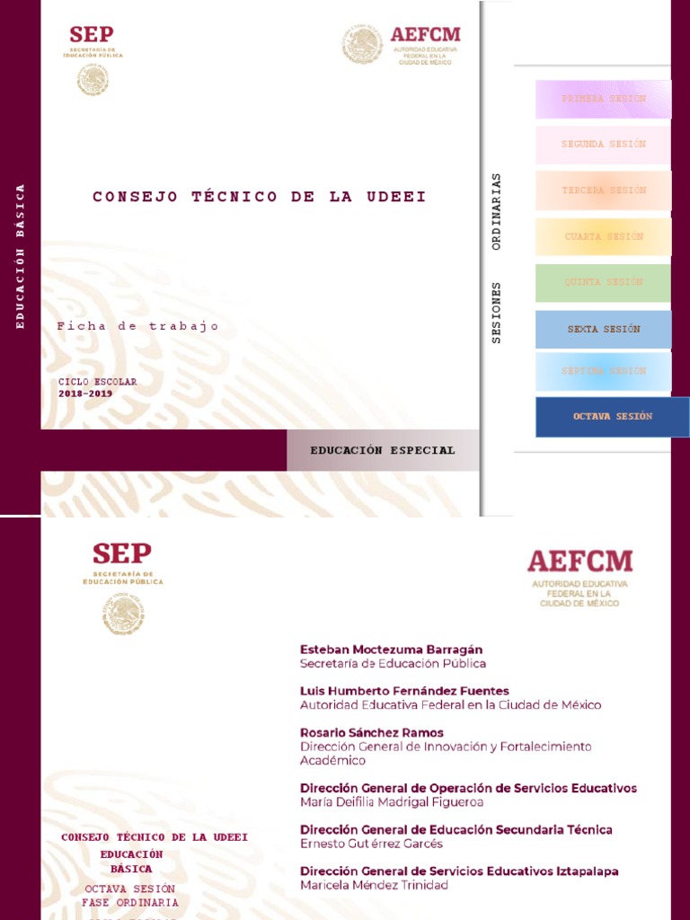 Udeei Ficha 8a Sesión | PDF | Educación especial | Evaluación