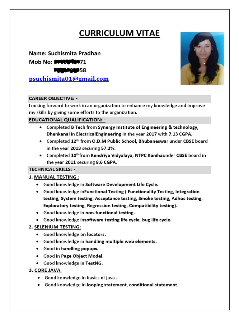 Contoh Cv Pdf Software Testing Software Engineering