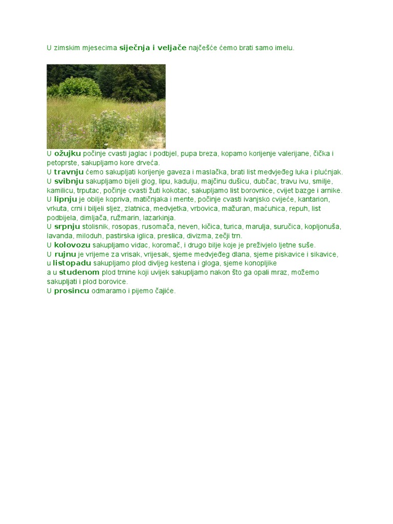 Kalendar Branja Ljekovitog Bilja | PDF