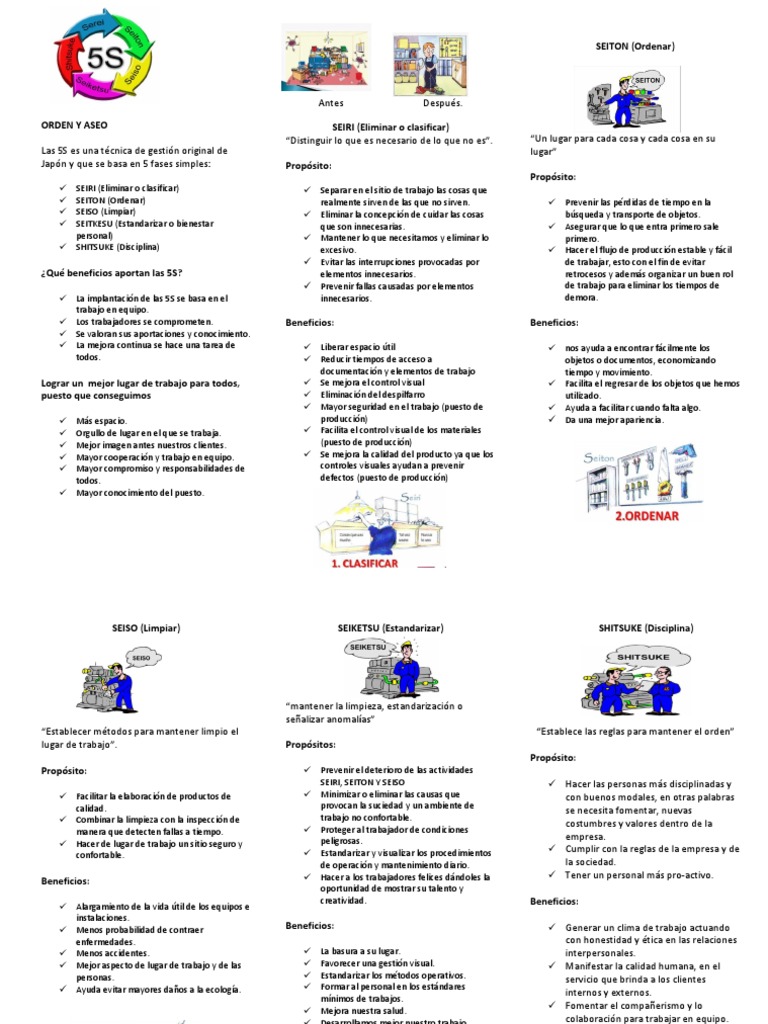 5S. 7s y 9s | PDF | Liderazgo | Sicología