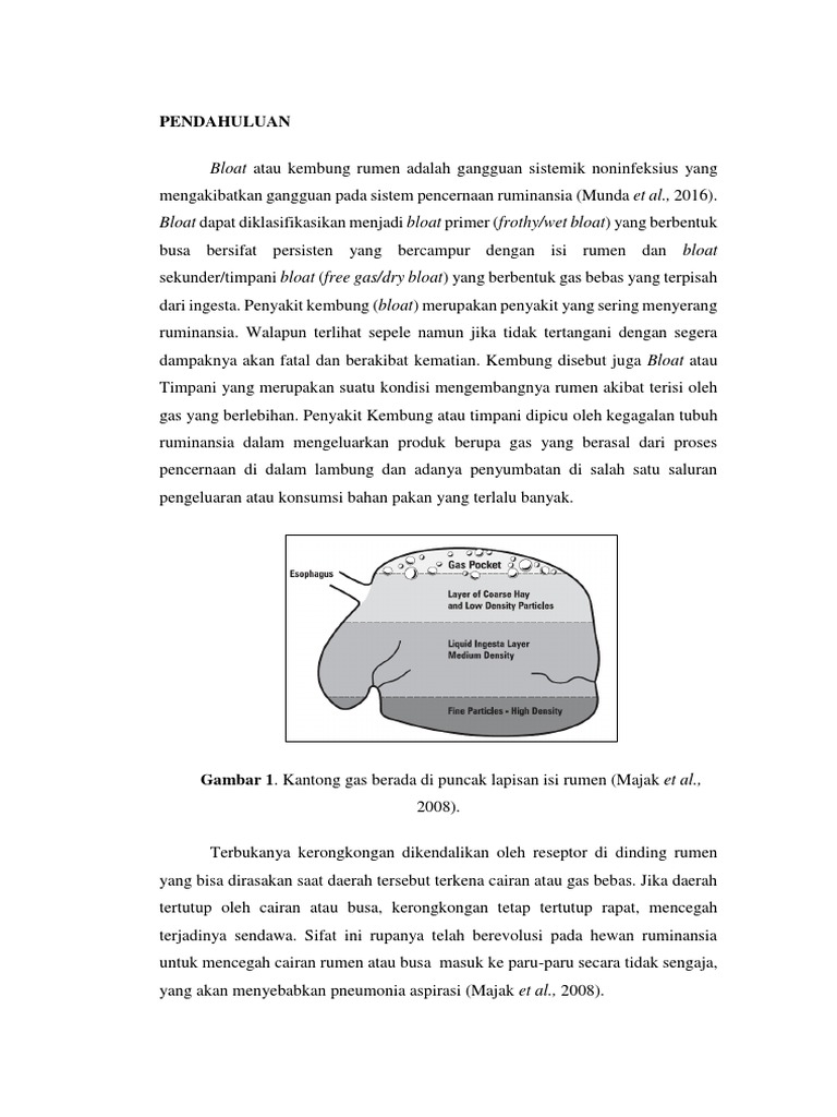 Bloat Atau Timpani Pada Sapi | PDF
