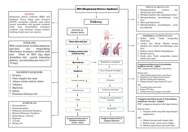 Woc Rds Nicu | PDF