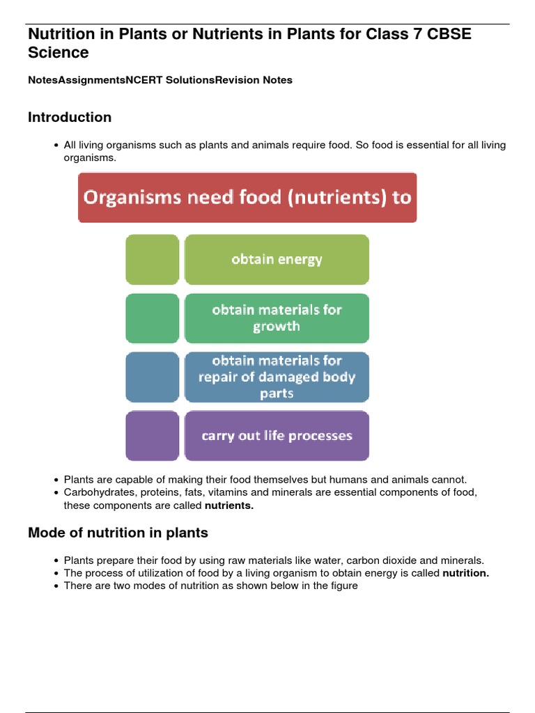 Nutrition in Plants or Nutrients in Plants For Class 7 CBSE Science PDF ...