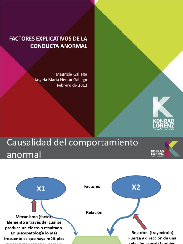 Causas de la Conducta Anormal | PDF | Serotonina | Norepinefrina