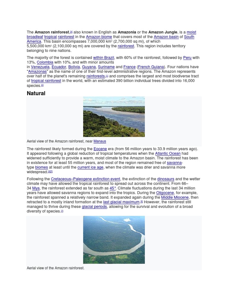 Natural: Aerial View of The Amazon Rainforest, Near | PDF | Amazon ...