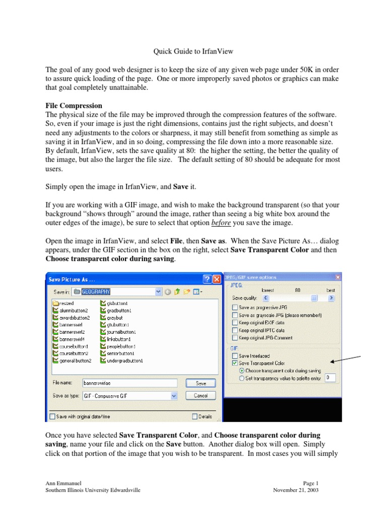 Quick Guide To IrfanView Updated PDF | PDF | Computer Graphics | Computing