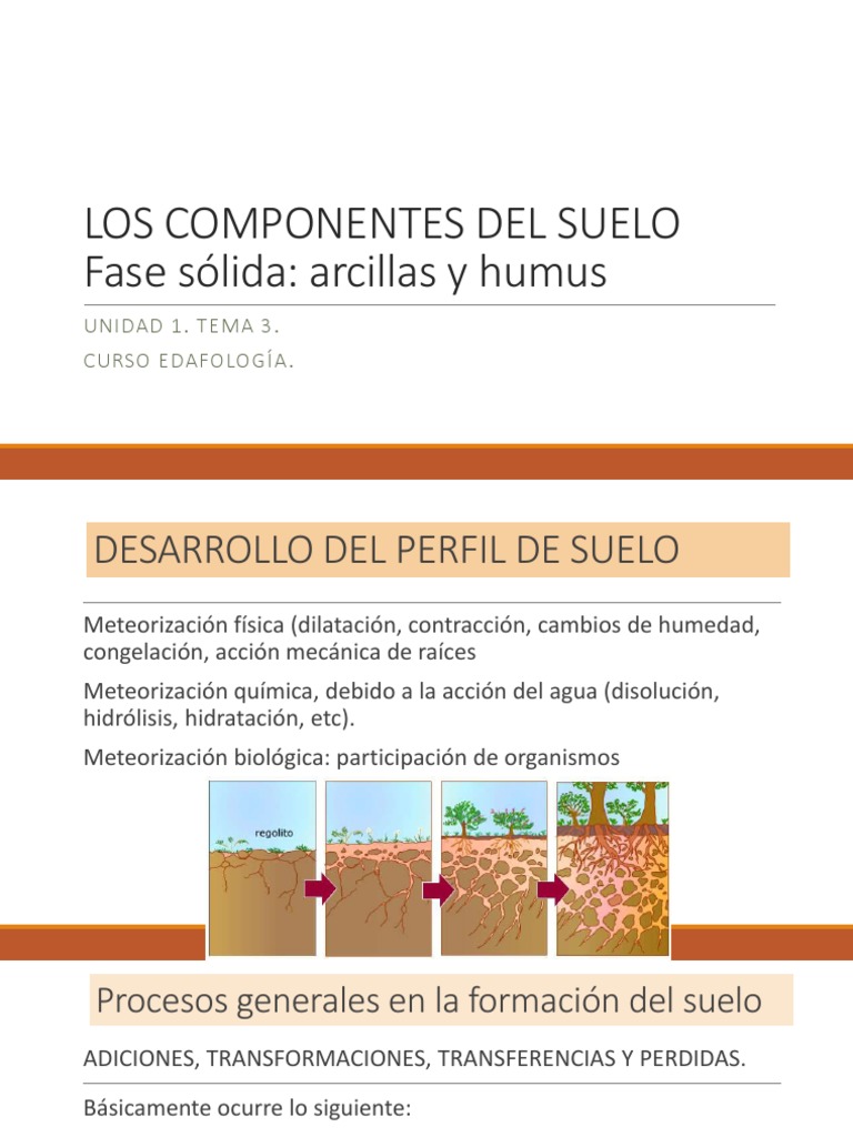 Los Componentes Del Suelo, Fase Sólida PDF | PDF | Suelo | Minerales