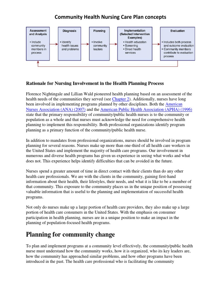 Community Health Nursing Care Plan Model | PDF | Medical Diagnosis ...
