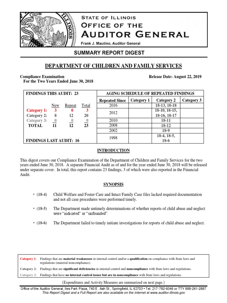 Dcfs Audit Summary | PDF | Child Abuse | Audit