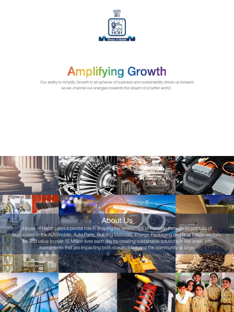 House of Habib Profile | PDF | Toyota | Car