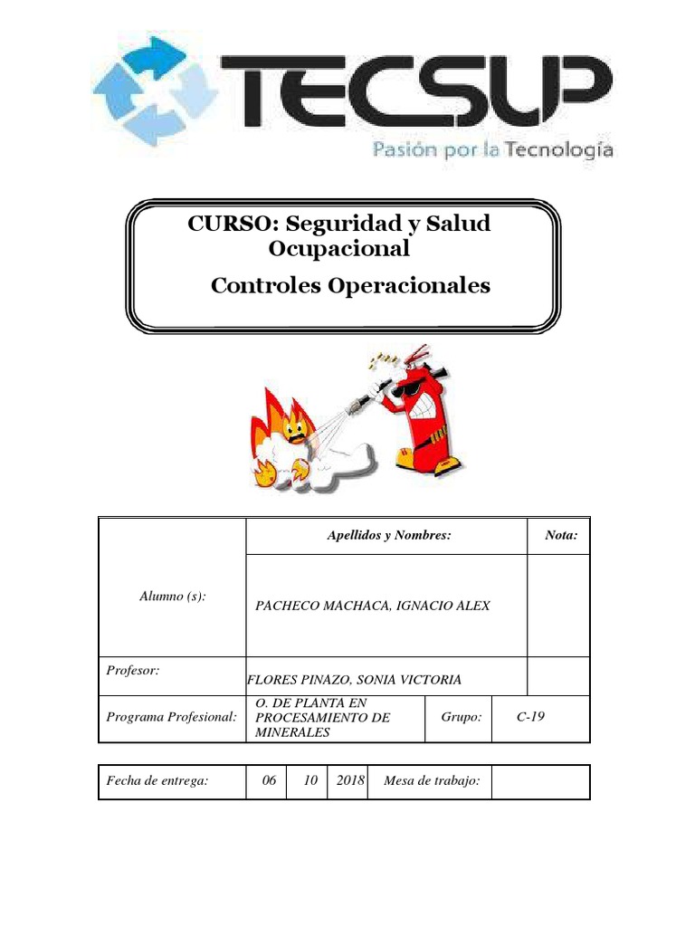 Controles Operacionales | PDF | Seguridad y salud ocupacional | Bienestar