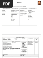 Pae y Place | PDF | Ciencias de la Salud | Cuidado de la salud