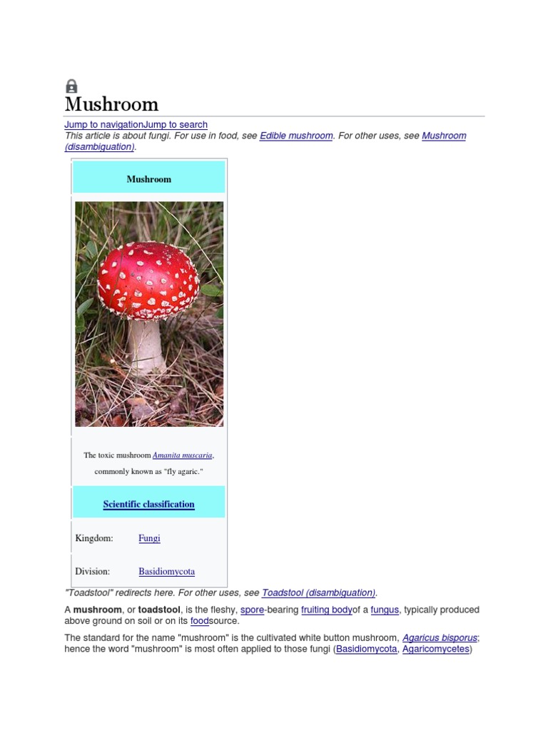 Mosh Room | PDF | Mushroom | Fungus