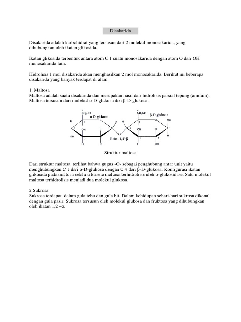 Disakarida | PDF