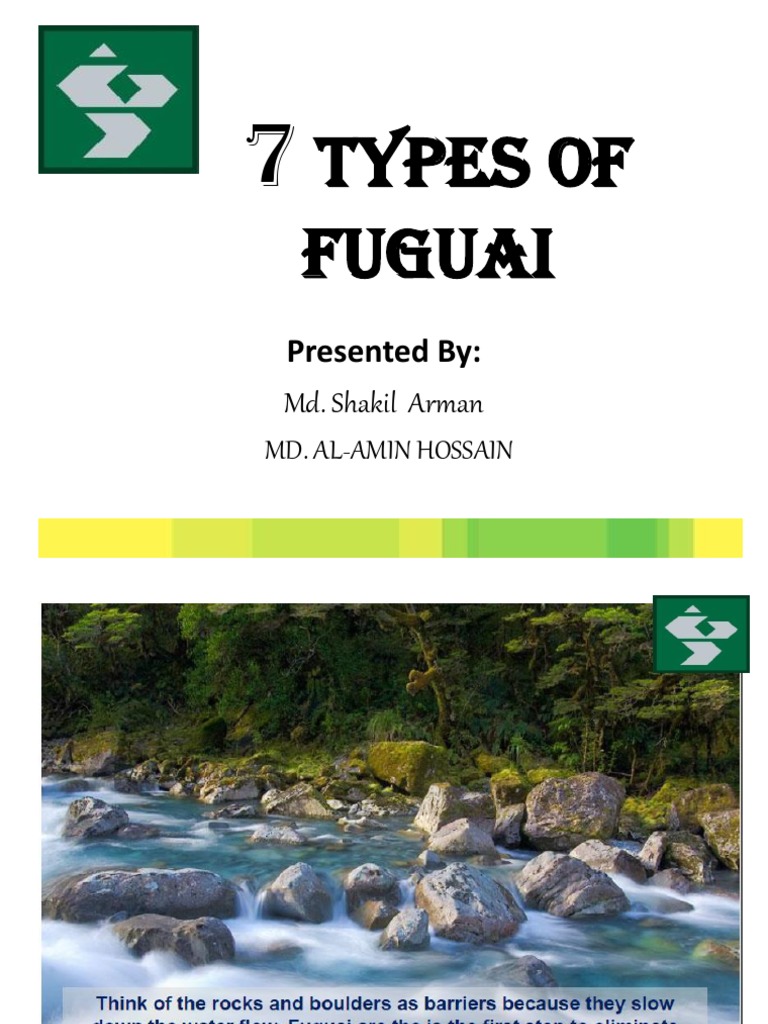 Types of Fuguai: Presented by | PDF