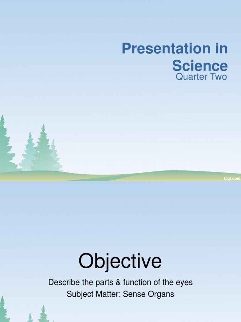 Parts of The Eye Presentation | PDF