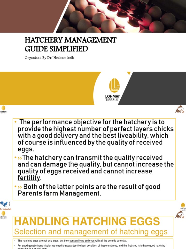 Hatchery Management Guide Simplified: Organized by DR/ Hesham Kotb | PDF | Egg | Humidity