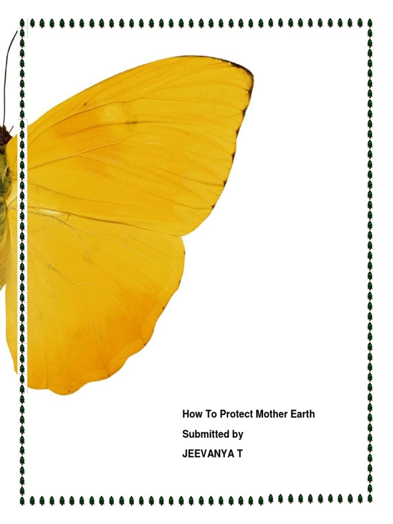How To Protect Mother Earth | PDF | Deforestation | Earth