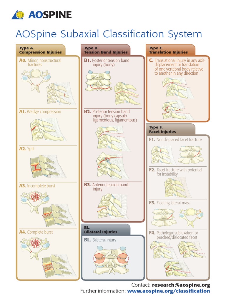 Aospine Subaxial Classification System: Minor, Nonstructural Fractures ...