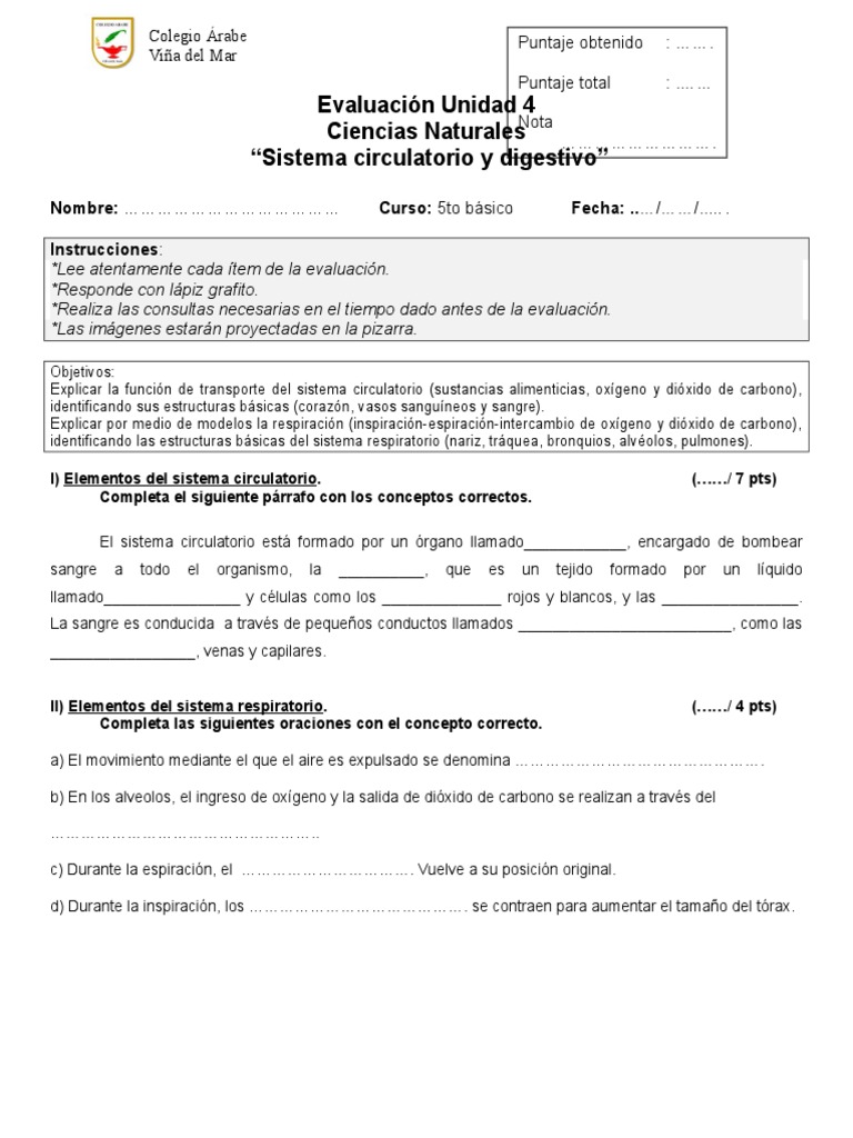 Prueba Unidad 4 Cs Nat 5 To | Descargar gratis PDF | Sistema circulatorio | Artería