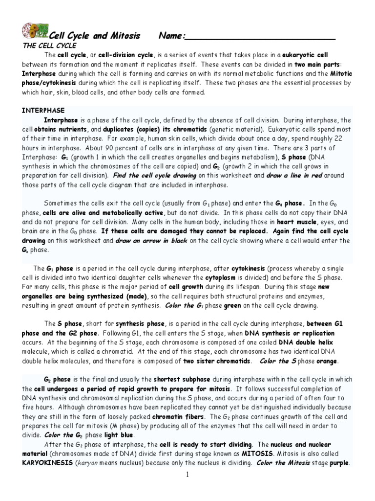 Cell Cycle Mitosis Lecture | PDF | Mitosis | Cell Cycle