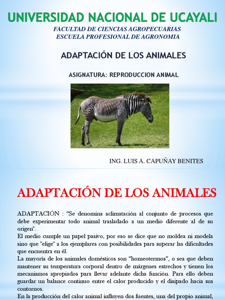 Adaptacion de Los Animales | PDF | Termorregulación | Calor