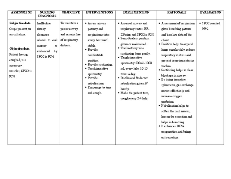 NCP BM | PDF | Respiratory System | Respiratory Tract