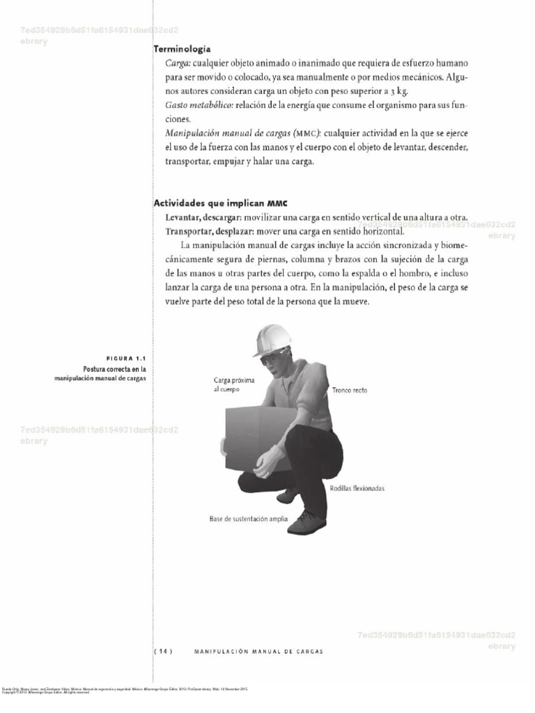 Manual de Ergonom A y Seguridad | PDF