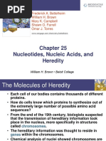 Nucleic Acid Project | PDF | Nucleic Acids | Dna