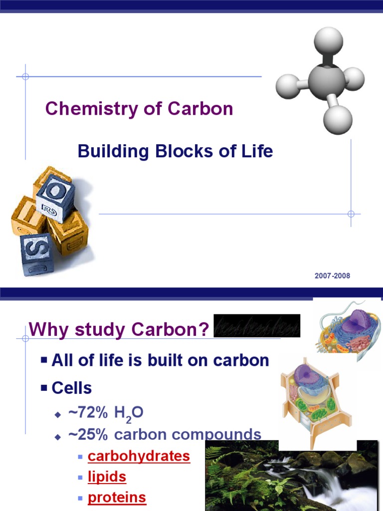 Chemistry of Carbon: Building Blocks of Life | PDF | Functional Group ...
