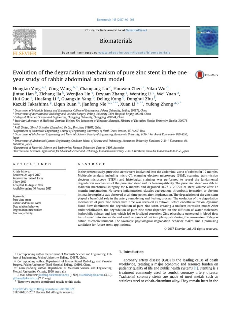 Evolution of The Degradation Mechanism of Pure Zinc Stent in The ...