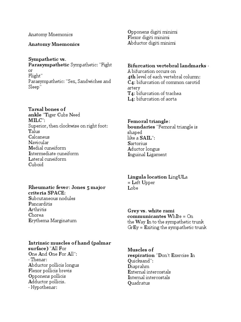 Ophthalmic Artery Branches Mnemonic