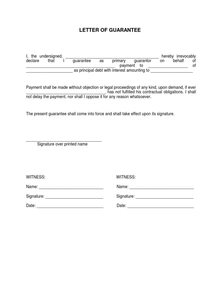 Letter of Guarantee | PDF