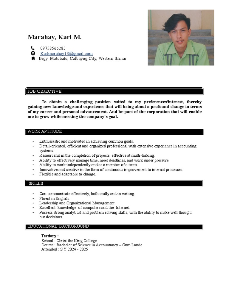Karl Resume | Download Free PDF | Bookkeeping | Business