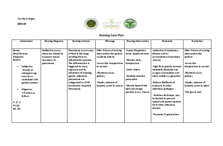 Nursing Care Plan - PCAP | PDF | Pneumonia | Respiratory Tract