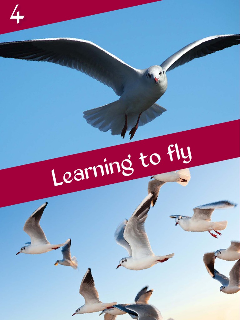 2018-11-30 B4 Learning To Fly | PDF | Narrative