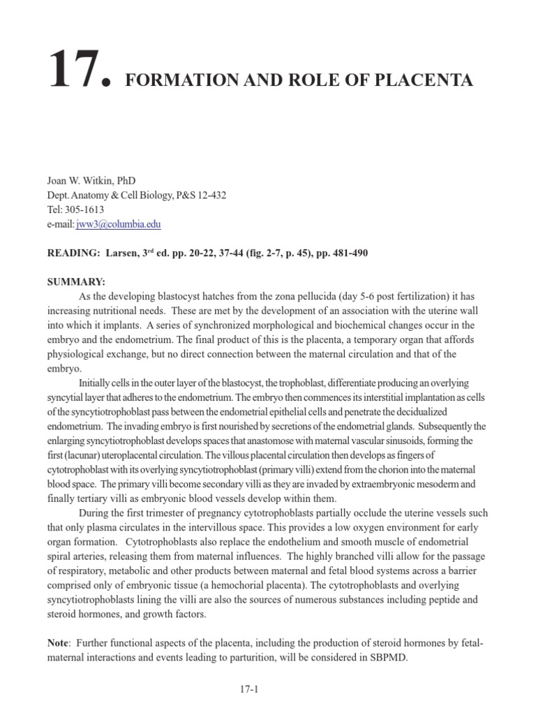 Formation and Role of Placenta: Jww3@columbia - Edu | PDF ...