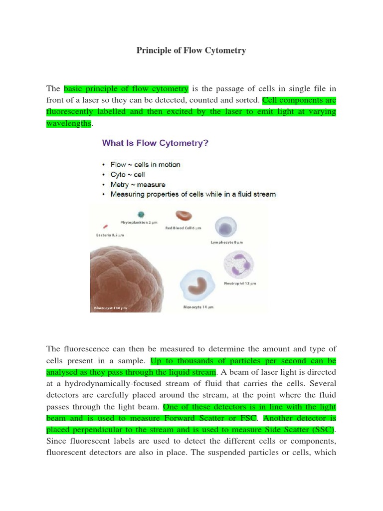 Principle of Flow Cytometry | PDF