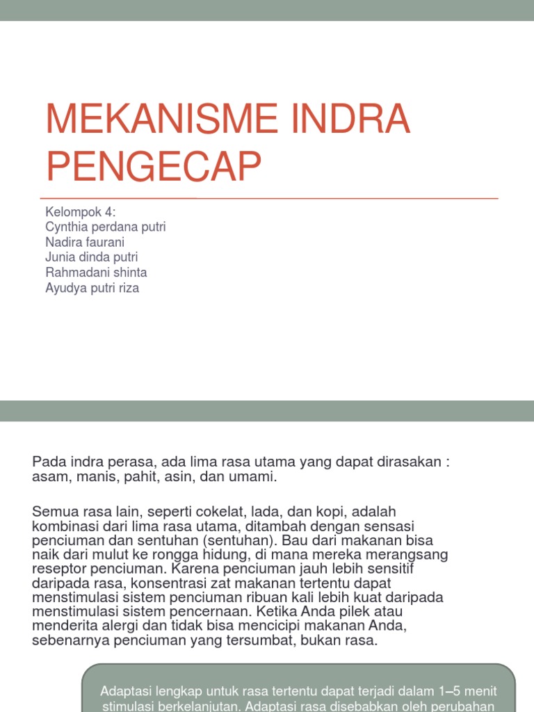 Mekanisme Indra Pengecap | PDF