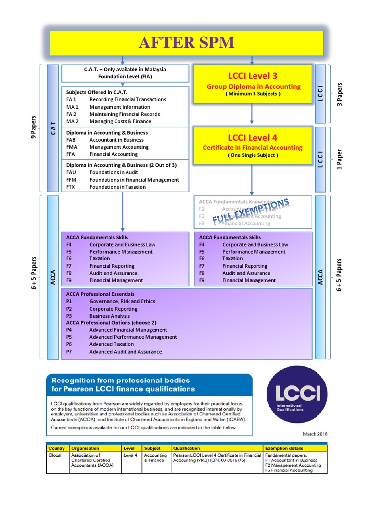 Brochure Study Routes Eu | PDF | Corporations | Accounting