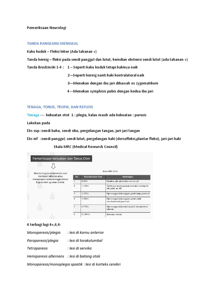Pemeriksaan Neurologi | PDF
