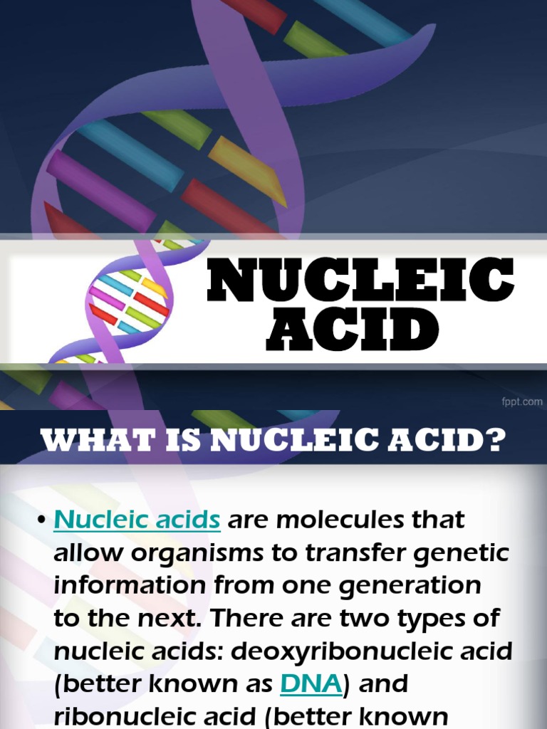 Nucleic Acids | PDF | Nucleic Acids | Dna