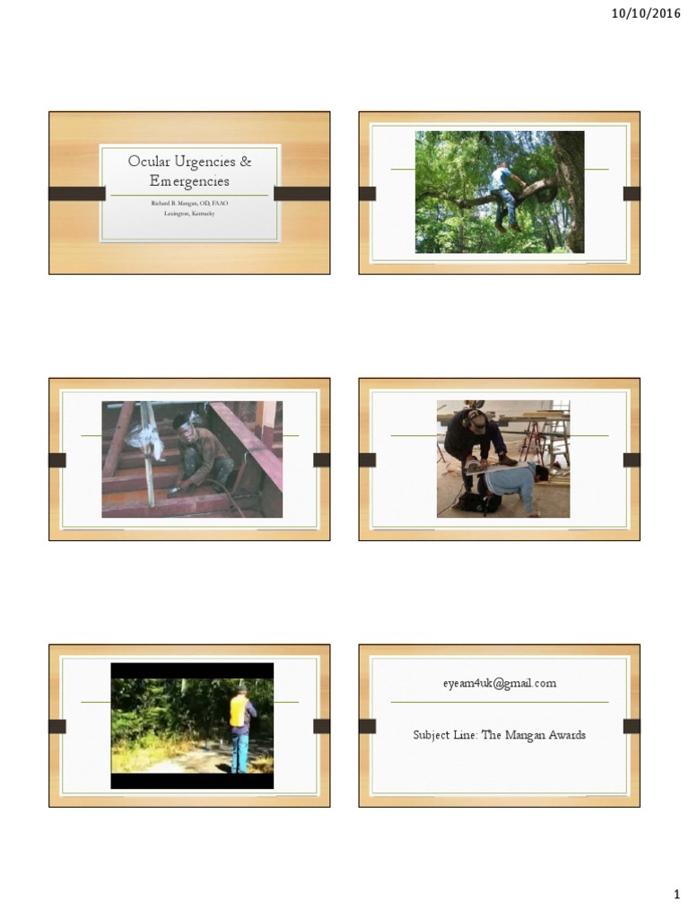 Triaging Ocular Emergencies: Guidelines for Prioritizing Care of Common ...