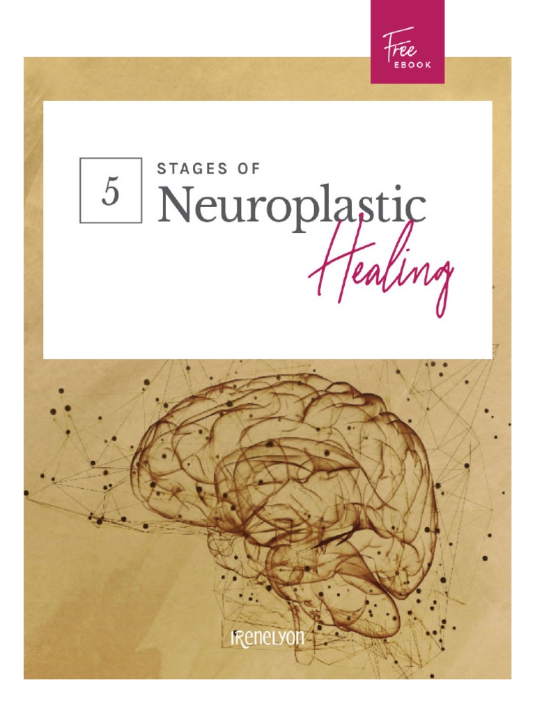 5 Stages Neuroplastic | PDF | Neuroplasticity | Brain
