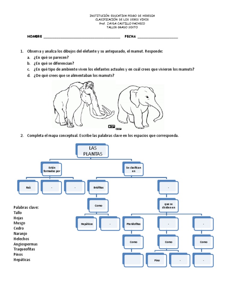 Clasificacion de Los Seres Vivos Sexto | PDF | Plantas | Organismos