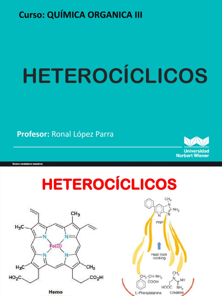 Heterociclicos Wiener | PDF | Compuesto heterocíclico | Hidrógeno