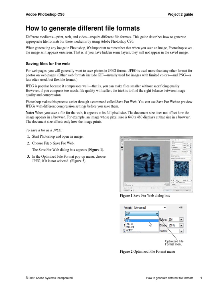 Visual Graphic Design | PDF | Adobe Photoshop | Video
