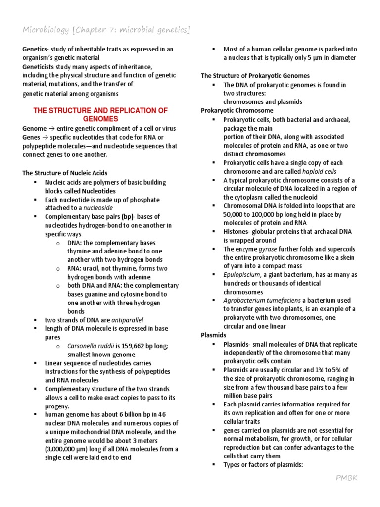 Microbiology (Chapter 7: Microbial Genetics) : The Structure and ...