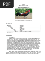 LAPRAK Morfologi Dan Anatomi Ayam | PDF