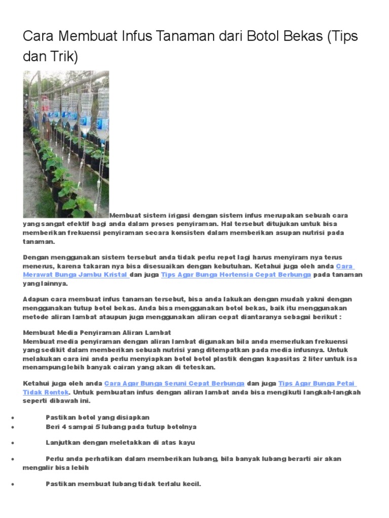 Cara Membuat Infus Tanaman Dari Botol Bekas | PDF